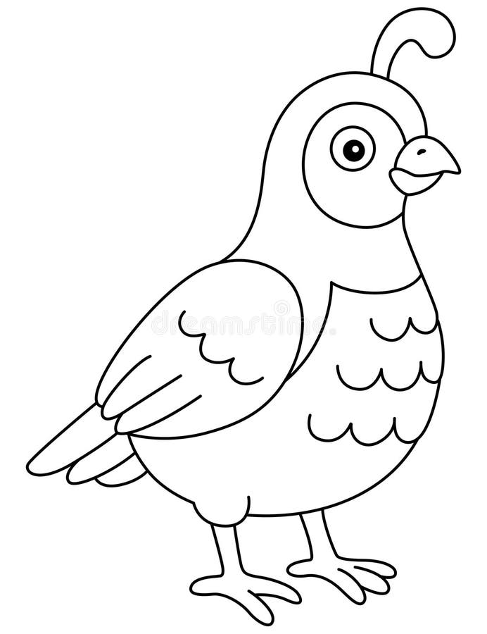Cartoon Quail Stock Illustrations – 2,104 Cartoon Quail Stock ...