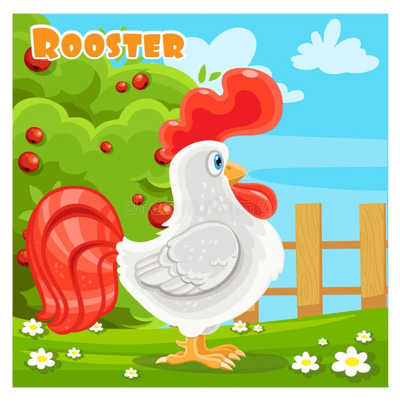 Rooster Farm Bird Watercolor Illustration Hand Painted Stock ...