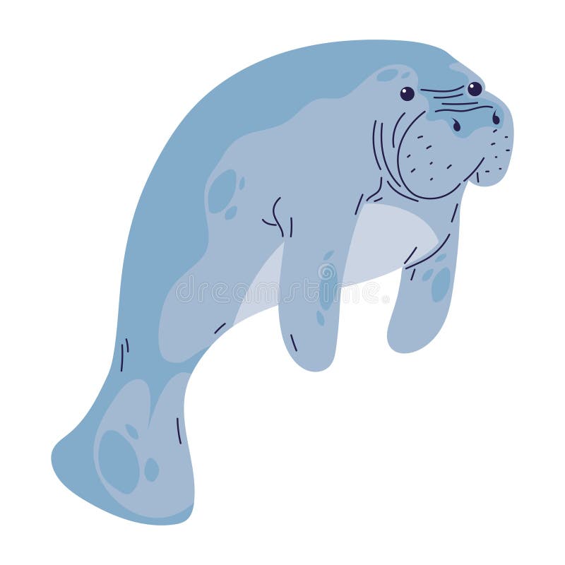 Cute cartoon seacow stock illustration. Illustration of aquatic - 333894548