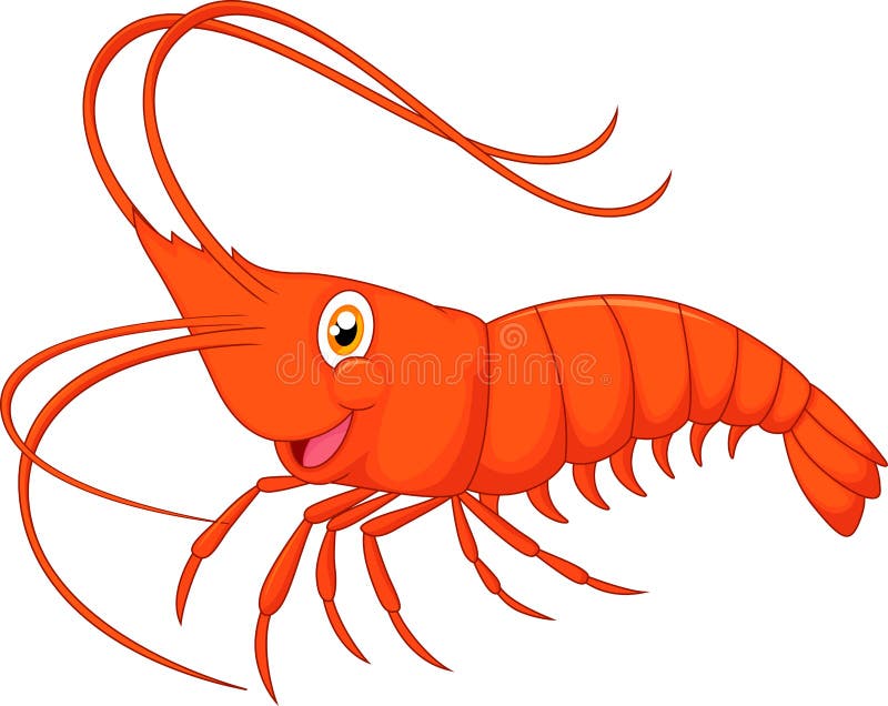Cartoon Prawn Stock Illustrations – 5,581 Cartoon Prawn Stock ...