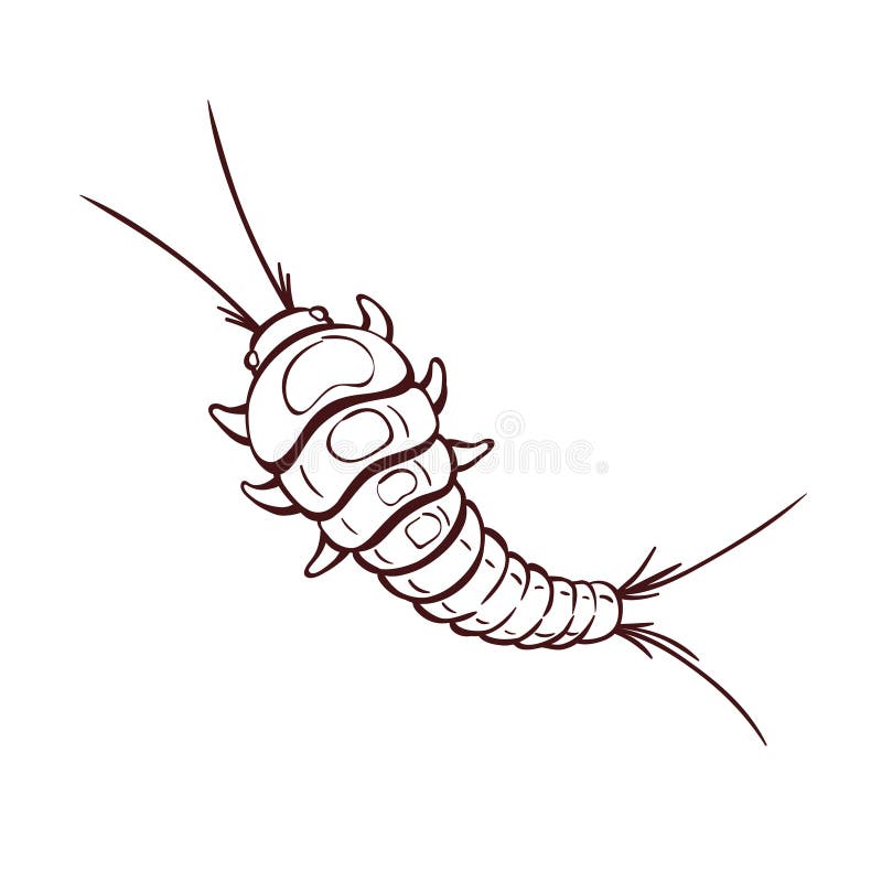 Silverfish Vector Stock Illustrations – 294 Silverfish Vector Stock ...