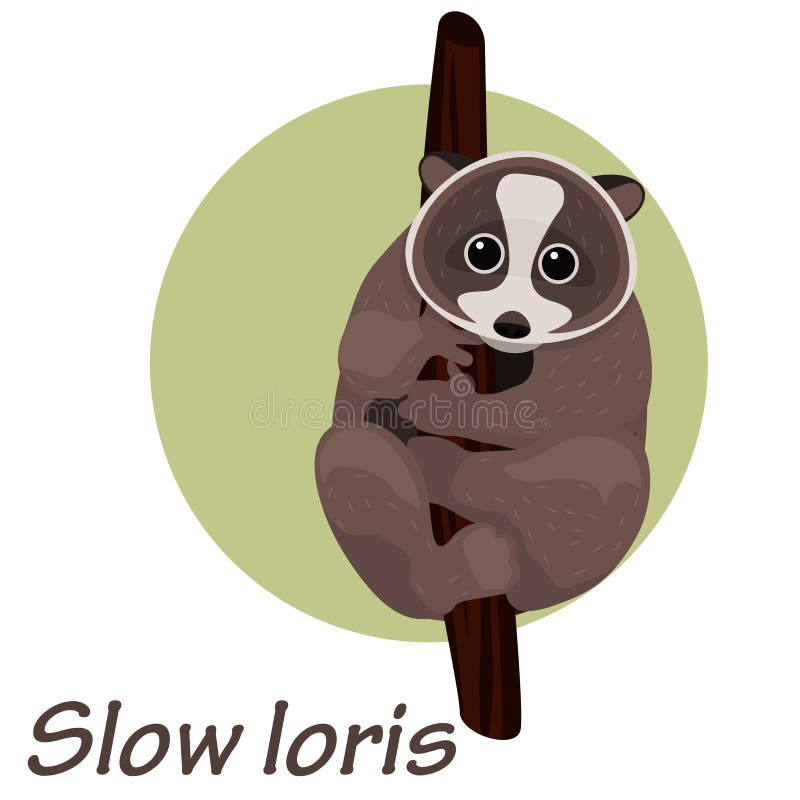Cartoon Slow Loris on a Tree Vector Illustration Stock Vector ...