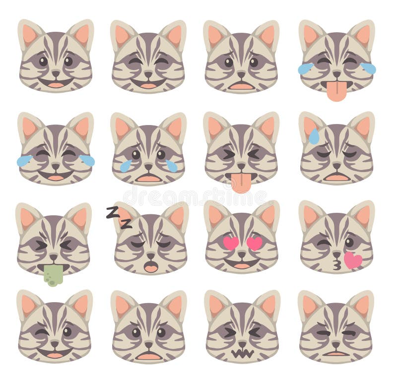 Cat Facial Expressions Chart