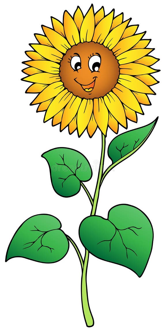 Cartoon Sunflower Stock Illustrations – 27,226 Cartoon Sunflower Stock ...