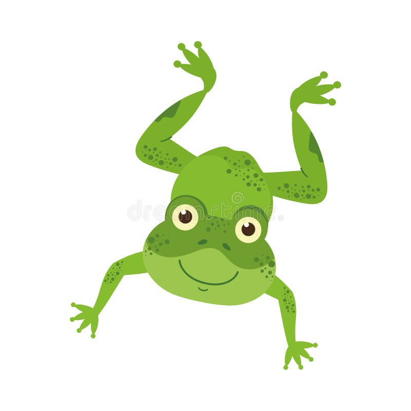 Frog cartoon cute stock illustration. Illustration of smile - 292610934