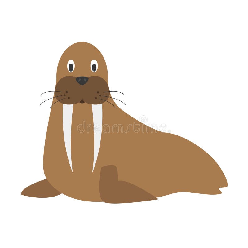 Cute Cartoon Walrus Vector Illustration Stock Vector - Illustration of ...
