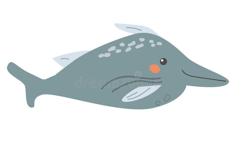 Cute Cartoon Whale with Patterns and Cheeks in Side View Illustration ...