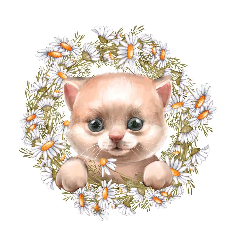 Cute Cat with Daisies, Hand Drawn Kitten Illustration with Flowers ...