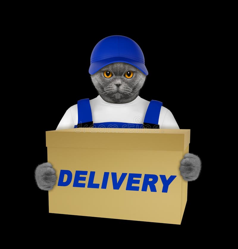 Black Cat Delivery Service Stock Photos - Free & Royalty-Free Stock ...