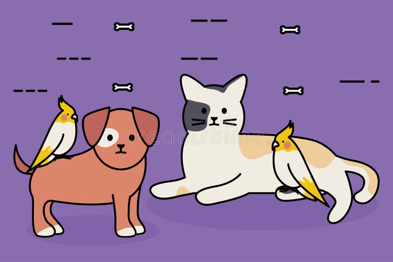 Cute Cat and Dog with Bird Mascots Adorables Characters Stock Vector ... Cute Cat and Dog with Bird Mascots Adorables Characters Stock Vector ...