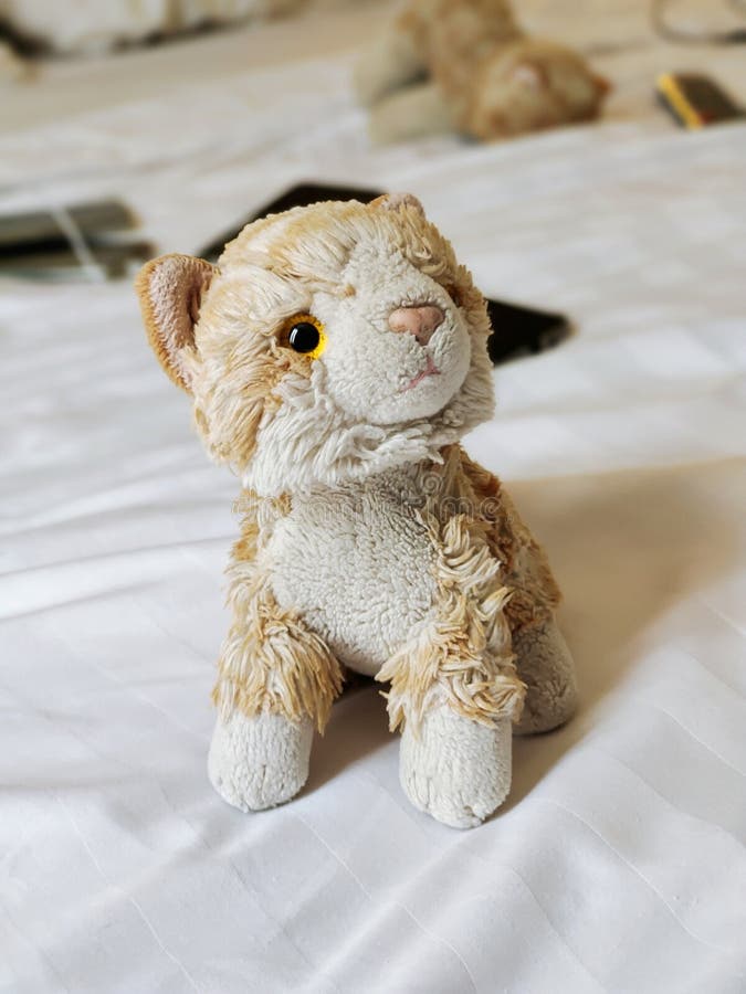 Cute cat doll stock image. Image of cutecat, kitten - 302895829