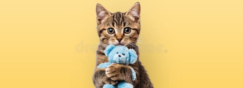Cute cat hugs a teddy bear stock illustration. Illustration of mammal ...