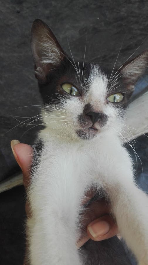 Tity Plcs Stock Photos - Free & Royalty-Free Stock Photos from Dreamstime