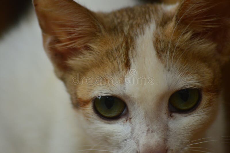 Looking Up at Sharp Angles on Building. Stock Image - Image of angles ...