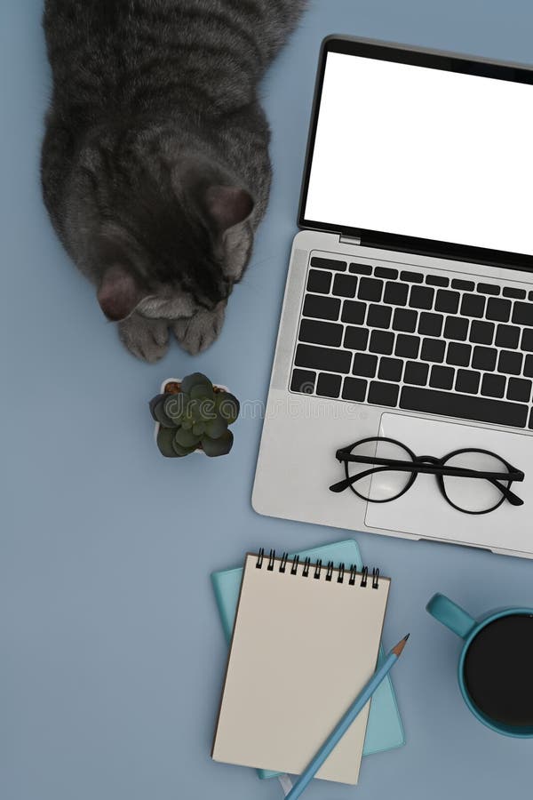 Cute Cat, Laptop Computer, Coffee Cup and Notebook on Blue Background ...