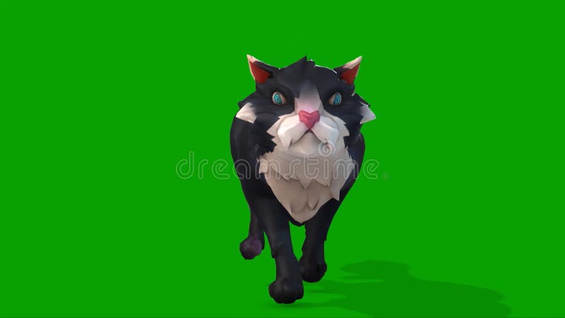 A Cute Cat Run Fast on Green Screen -3D Rendering Animation Stock ...