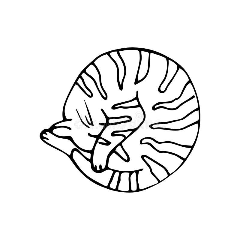 Cute Cat Sleeping Curled Up. Contour Vector Illustration Isolated on ...