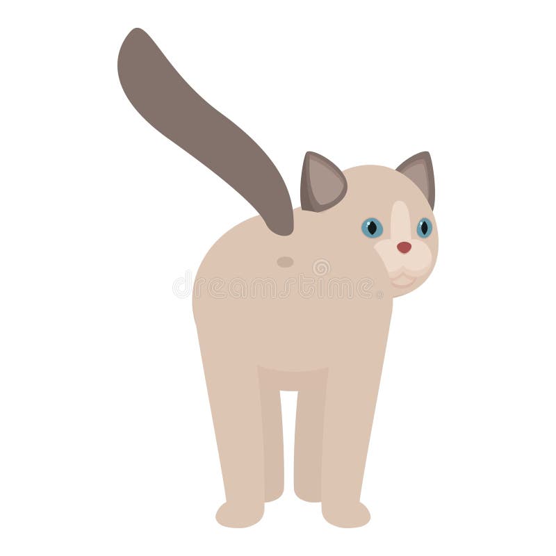 Cute Cat Wagging Its Tail Looking Back Over Shoulder Stock Vector ...
