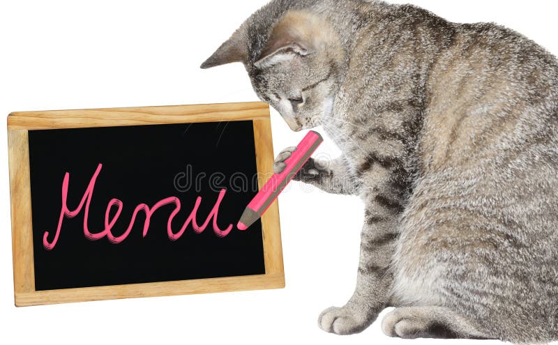 Cute Cat Writing on a Menu Board Stock Image - Image of concentrating ...