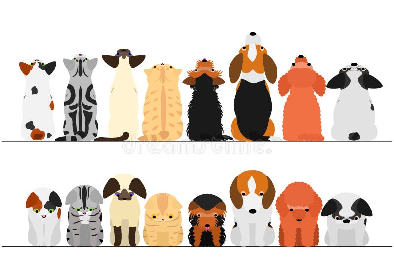 Cats Border Set Stock Illustrations 433 Cats Border Set Stock
