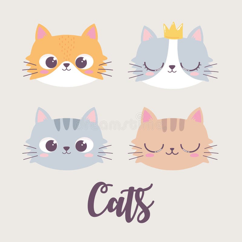 Pet Cats Faces Differents Feline Breed Cartoon Stock Vector ...