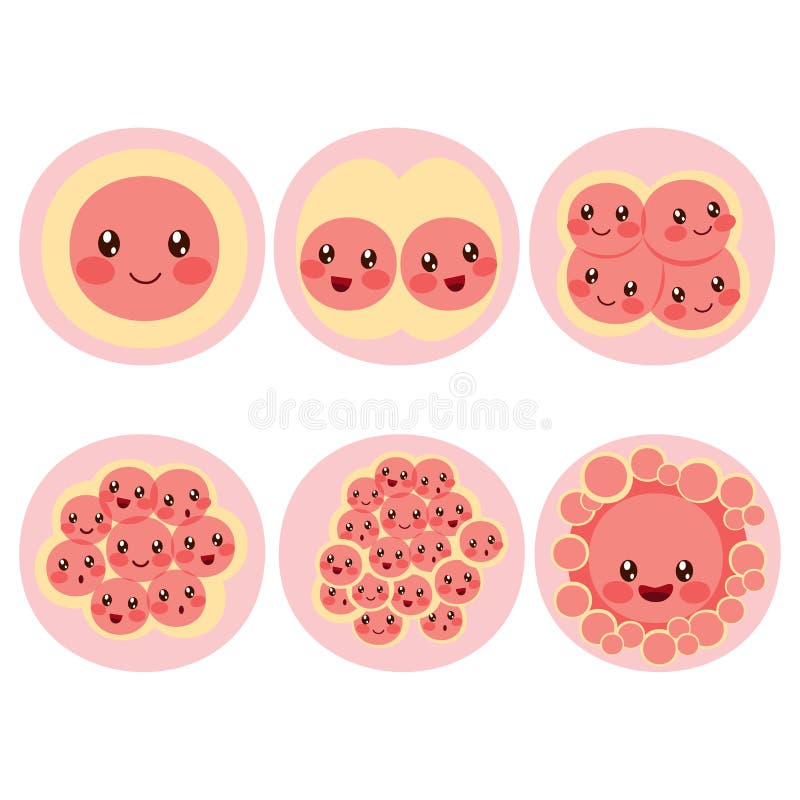 Cell Division Cartoon Stock Illustrations – 330 Cell Division Cartoon ...