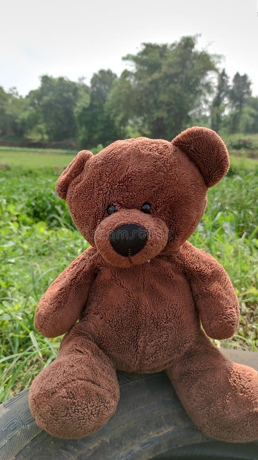 Cute and Charming Brown Teddy Bear Stock Image - Image of bear, teddy ...