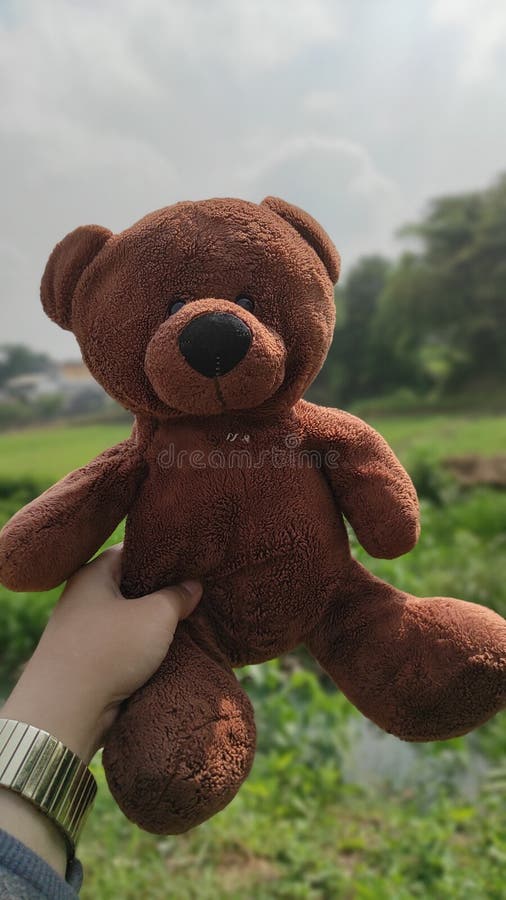 Cute and Charming Brown Teddy Bear Stock Photo - Image of cute ...