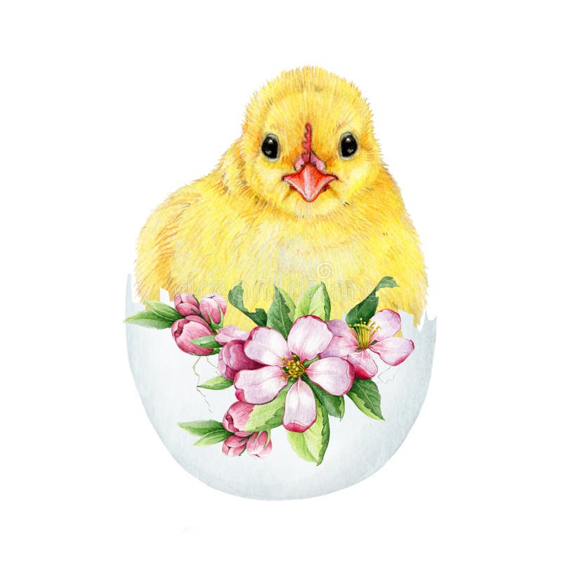 Cute Chick in Cracked Egg Shell with Spring Flower Easter Decor ...