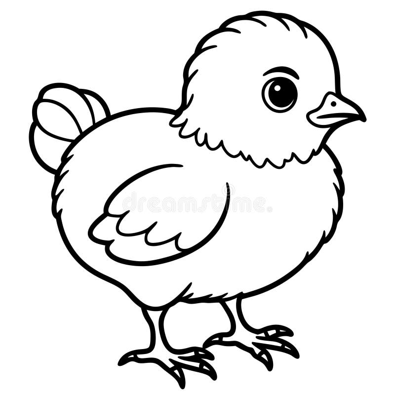 Cute chick line drawing stock vector. Illustration of chick - 363953931