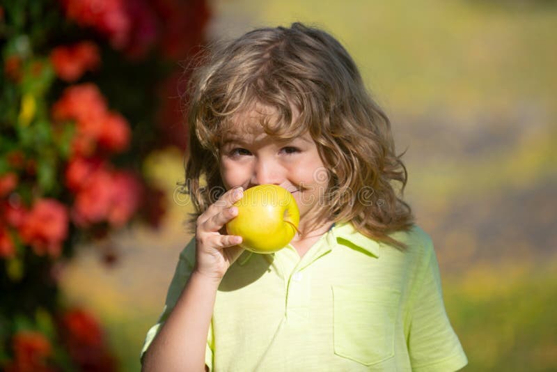 Cute Child Boy Eating an Apple Outdoors. Stock Image - Image of eating ...