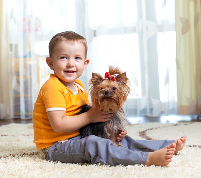 Cute Child Hugging Dog Indoor Stock Image - Image of playing, portrait ...