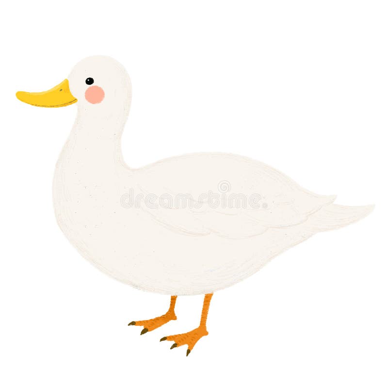 Cute Children S Book Style White Duck Stock Illustration - Illustration ...