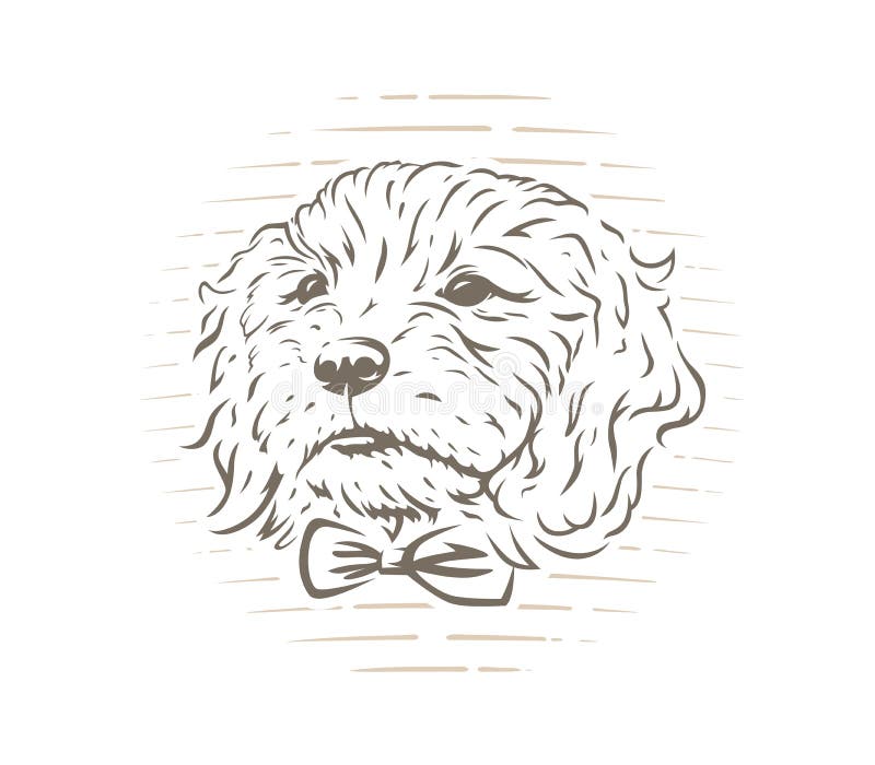 Cockapoo Vector Stock Illustrations – 97 Cockapoo Vector Stock ...