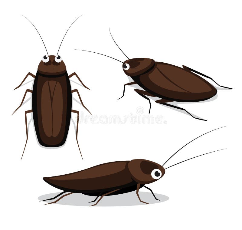 Cute Cockroach Poses Cartoon Vector Illustration Stock Vector ...