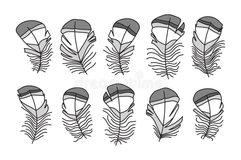 Cute Collection of Bird Feathers in Cartoon Style. Same Look, Different ...