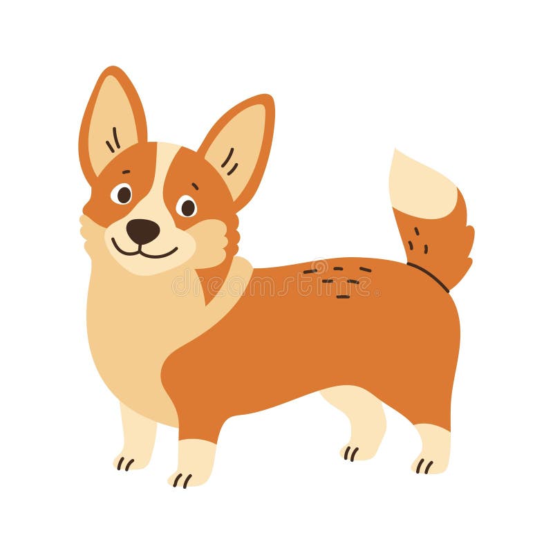 Cute Corgi Standing. Pet, Breed Stock Illustration - Illustration of ...