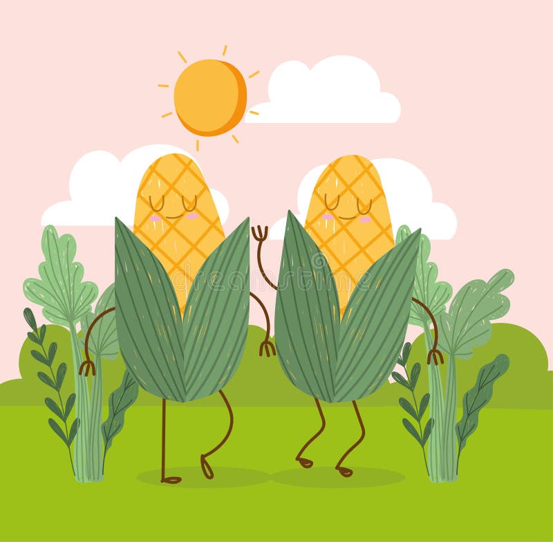 Cute corns in grass stock vector. Illustration of harvest - 224957143