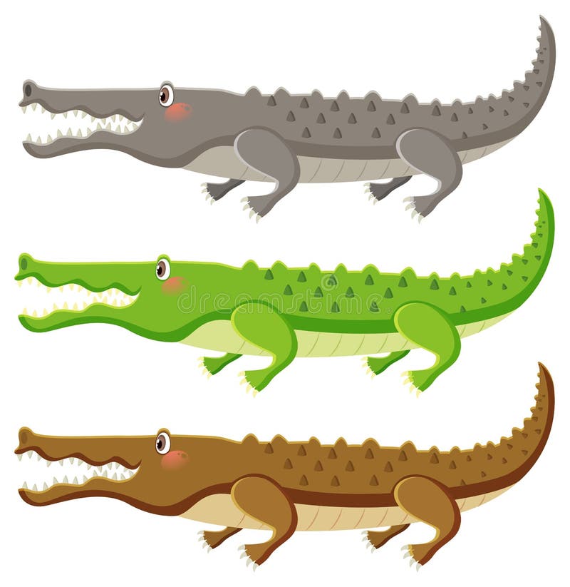 Cute Crocodile Cartoon Character Isolated Stock Vector - Illustration ...