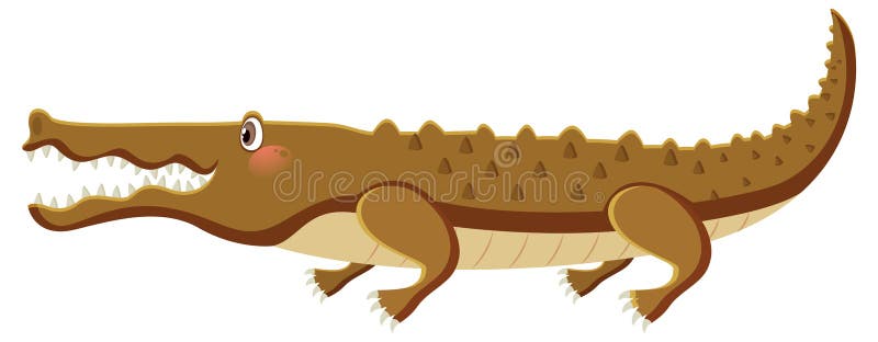Cute Crocodile Cartoon Character Isolated Stock Vector - Illustration ...