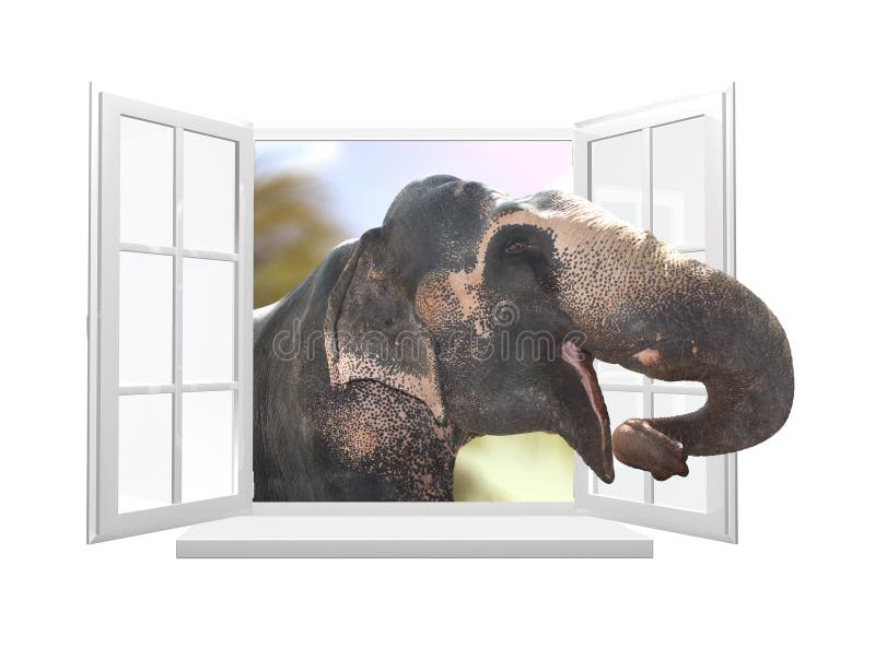 Curious Elephant Stock Illustrations – 218 Curious Elephant Stock ...