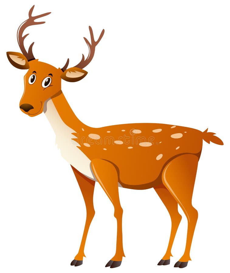 Deer Standing by the Wooden Signs Stock Vector - Illustration of ...