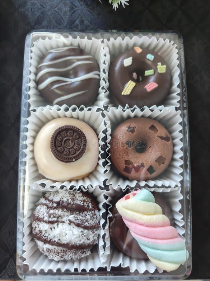 Cute and Delicious Decorated Mini Donuts in a Box Stock Illustration ...