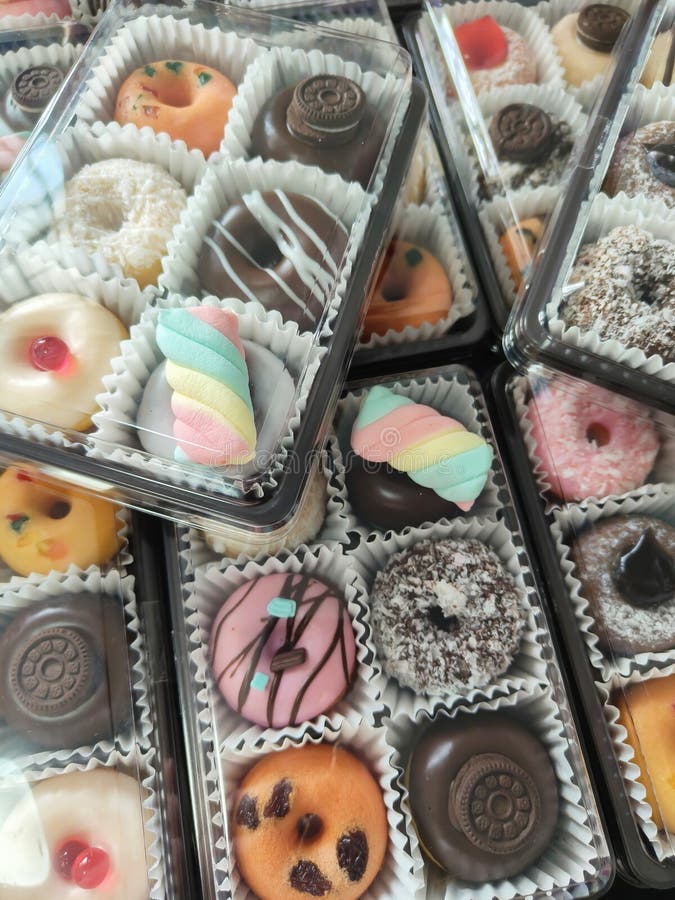 Cute and Delicious Decorated Mini Donuts in a Box Stock Illustration ...