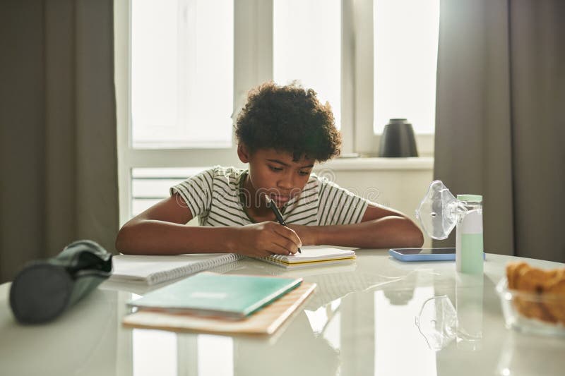 Diligent Boy Taking Notes in Copybook Stock Image - Image of alone ...