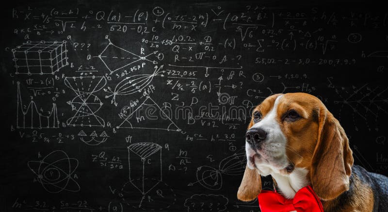 Dog Math Stock Illustrations – 528 Dog Math Stock Illustrations ...