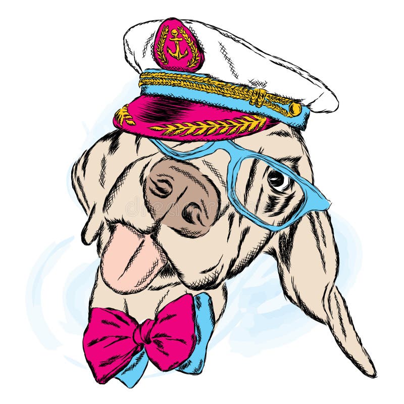 Cute Dog in the Captain`s Cap. Captain. Stock Vector - Illustration of ...