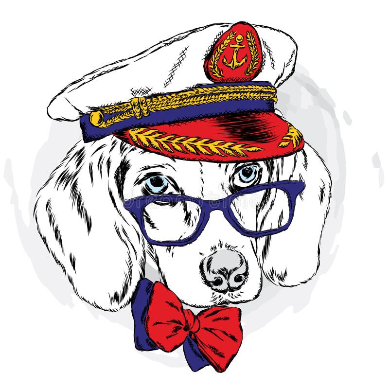 Cute Dog in a Captain`s Cap. Charming Puppy Stock Vector - Illustration ...