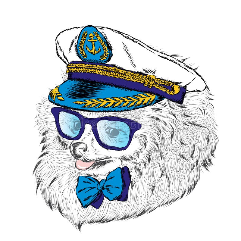Cute Dog in a Captain`s Cap. Charming Puppy Stock Vector - Illustration ...