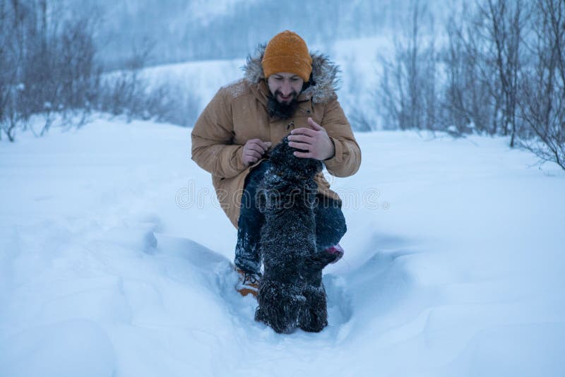 Cute Dog Performs a Command of His Master Stock Image - Image of person ...